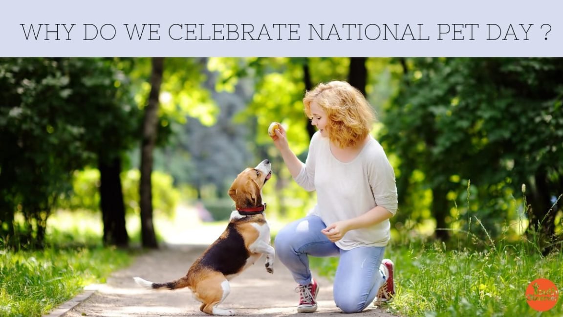 Why Do We Celebrate National Pet Day?